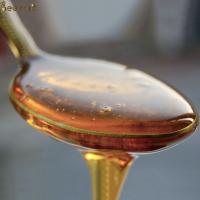 China Wholesale High Quality 100% Natural Pure Bush forest Honey No Additives Natural Bee Honey for sale