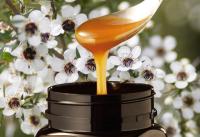 China Hot Selling Manuka Honey 100% Natural MGO100+ UMF5+ Natural Bee Honey from New Zealand for sale
