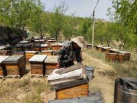 China 2024 Crop White Acacia Honey with 18% Moisture HMF ≤15 Packed in 35kg/barrel for Direct Consumption for sale