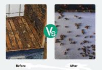 China Doctor Bee ( 10 Strips ) Bee Medicine Against Varroa Bee Mites Fluvalinate Strip for sale