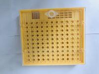 China Plastic Queen Rearing Cupkit System 14.6cm*13cm*3cm for Bee Farm Queen Rearing for sale