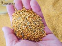 China Multi-Flower Raw Bee Pollen Granules 25kg Carton Food Supplement for sale