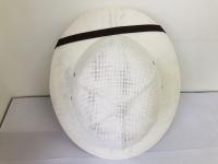 China Straw hat Sting Proof Beekeeping Protective Outfits Straw Material Beekeeper Hats for sale