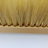 China Best Selling Double Rows Bee Brush With Wooden Handle Plastic Hair Beekeeping Tools for sale