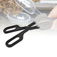 China Bee Keeping Tools , Scissors Plastic Queen Cage , Prevent The Queen Bee From Escaping for sale