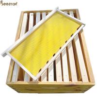 China Grade A Type Beeswax Foundation Sheet Natural Beeswax for sale