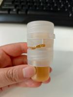 China BEESTAR Lemon Honey Water 30g Natural Honey 5g Lemon Juice for sale