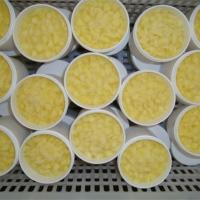 China 10-HDA 2% Organic Fresh Royal Jelly Natural Pure Food Grade for sale