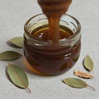 China 100% Natural Eucalyptus Honey Bulk 35kg Barrel Halal Certified for sale
