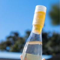 China Premium 350ml PET Honey Water Bottle with Honey Cap - Empty Portable Container for Honey Beverage Packaging for sale