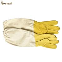 China Economic Sheepskin Beekeeping Gloves with Leather and Canvas in Yellow and White for Bee Protection for sale