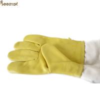 China Economic Sheepskin Beekeeping Gloves with Leather and Canvas in Yellow and White for Bee Protection for sale
