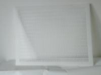 China Plastic Bee Queen Excluder 42*42*1.4cm for Queen Bee Farming in Beekeeping for sale