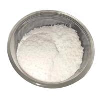 China BEESTAR Freeze Dried Honey Powder in 1kg Aluminum Bags - White Lyophilized Natural Honey for Beverages and Baking for sale