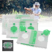 China Beestar Bulk Wholesale High Quality Plastic Collapsible Queen Cage Rearing System Equipmentraw For Beefarm for sale