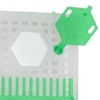 China Beestar Bulk Wholesale High Quality Plastic Collapsible Queen Cage Rearing System Equipmentraw For Beefarm for sale