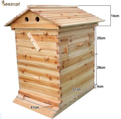China Unassembled Langstroth Beehive with 7 Plastic Flow Frames in Chinese Fir Wood for sale
