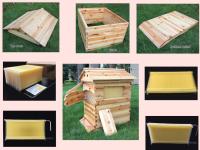 China Unassembled Langstroth Beehive with 7 Plastic Flow Frames in Chinese Fir Wood for sale