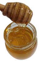 China Beestar Bulk 100% Pure No Additives Dragon Plant Honey with 18% Moisture Natural Buckwheat Honey for sale