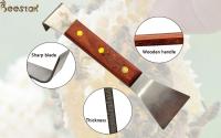 China Stainless Steel Hive Tool with Wooden Handle and 200mm Length for Beekeeping for sale
