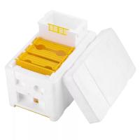 China Single Layer Foam Bee Hive Equipment Mating Breeding Box Beekeeping Queen Rearing for sale
