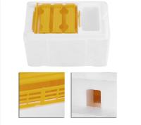 China Single Layer Foam Bee Hive Equipment Mating Breeding Box Beekeeping Queen Rearing for sale