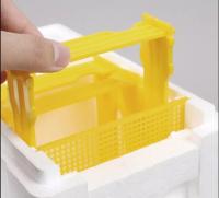 China Single Layer Foam Bee Hive Equipment Mating Breeding Box Beekeeping Queen Rearing for sale