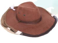 China Fashionable Cowboy Bee Hat of Bee Protection Suit Bee Protective Clothing for sale