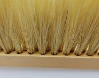 China Double Rows Wooden Handle Plastic Hair Bee Brushes For Beekeeping for sale
