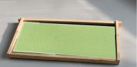 China Green Plastic Beeswax Foundation Sheet Bulk Wholesale for Beekeepers for sale