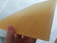 China Plastic 5.4mm Cell Size Beeswax Foundation Sheets with Injection Molding Process and New Plastic Material for sale
