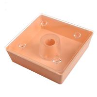 China Food Grade Plstic Bee Feeder 255g Bee Hive Equipment for sale