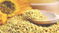 China Fresh mixed pollen Raw Bee Pollen Nourishing Food Natural Bee Pollen big granual for sale