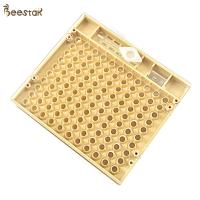 China Yellow Queen Rearing Cupkit System For Agricultural Beequeen Tools Cupkit System for sale