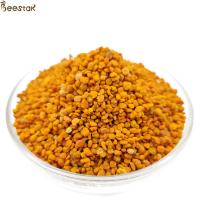 China 100% Natural Pure Fresh Tea Pollen Big Granular Raw Bee Pollen for Food High Quality for sale