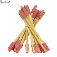 China Apiculture Tools Queen Rearing Beekeeping Bamboo Royal Jelly Pen for sale