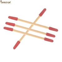 China Apiculture Tools Queen Rearing Beekeeping Bamboo Royal Jelly Pen for sale