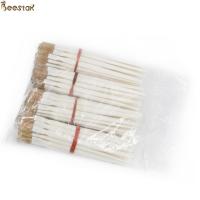 China Wholesale Beekeeping Tools Plastic Royal Jelly Pen Apicultural Tools For Beekeeping for sale