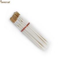 China Wholesale Beekeeping Tools Plastic Royal Jelly Pen Apicultural Tools For Beekeeping for sale