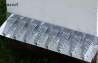 China Beekeeping Tools Beehive Accessories Apiculture Metal Bee Escape Metal Entrance Guard for sale
