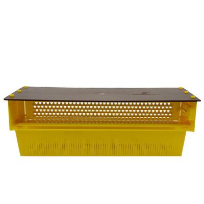 China Flexible Beehive Accessories Plastic Pollen Trap Tray Entrance Pollen Collector for sale