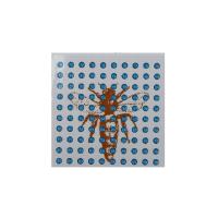 China Apicultura Beekeeping Tools Polymer Queen Bee Marker For Queen Bee Breeding for sale