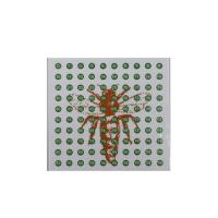 China Apicultura Beekeeping Tools Polymer Queen Bee Marker For Queen Bee Breeding for sale