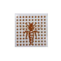 China Apicultura Beekeeping Tools Polymer Queen Bee Marker For Queen Bee Breeding for sale