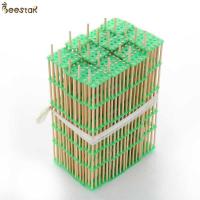 China Eco-Friendly Beekeeping Equipment Queen Rearing Tool Baboo Queen Bee Cage For Bee Farming for sale