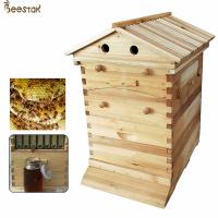 China Unassembled Flow Hive with 7 Plastic Frames Made of Chinese Fir Wood for Convenient Honey Extraction for sale