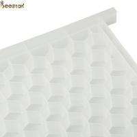 China Apiculture Honey Beehive Accessories Plastic Bee Feeder For Pollen Beekeeping Tools for sale