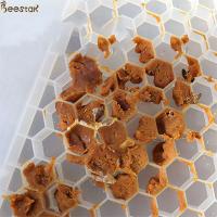 China Apiculture Honey Beehive Accessories Plastic Bee Feeder For Pollen Beekeeping Tools for sale