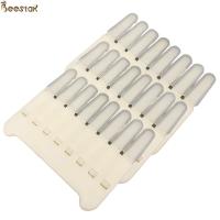 China Plastic Royal Jelly Tool with 8 Teeth and Detachable Head for Efficient Beekeeping Grafting for sale