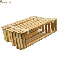 China Plastic Frame Spacer for Beehive 36.5cm Eco-friendly Beekeeping Equipment for sale